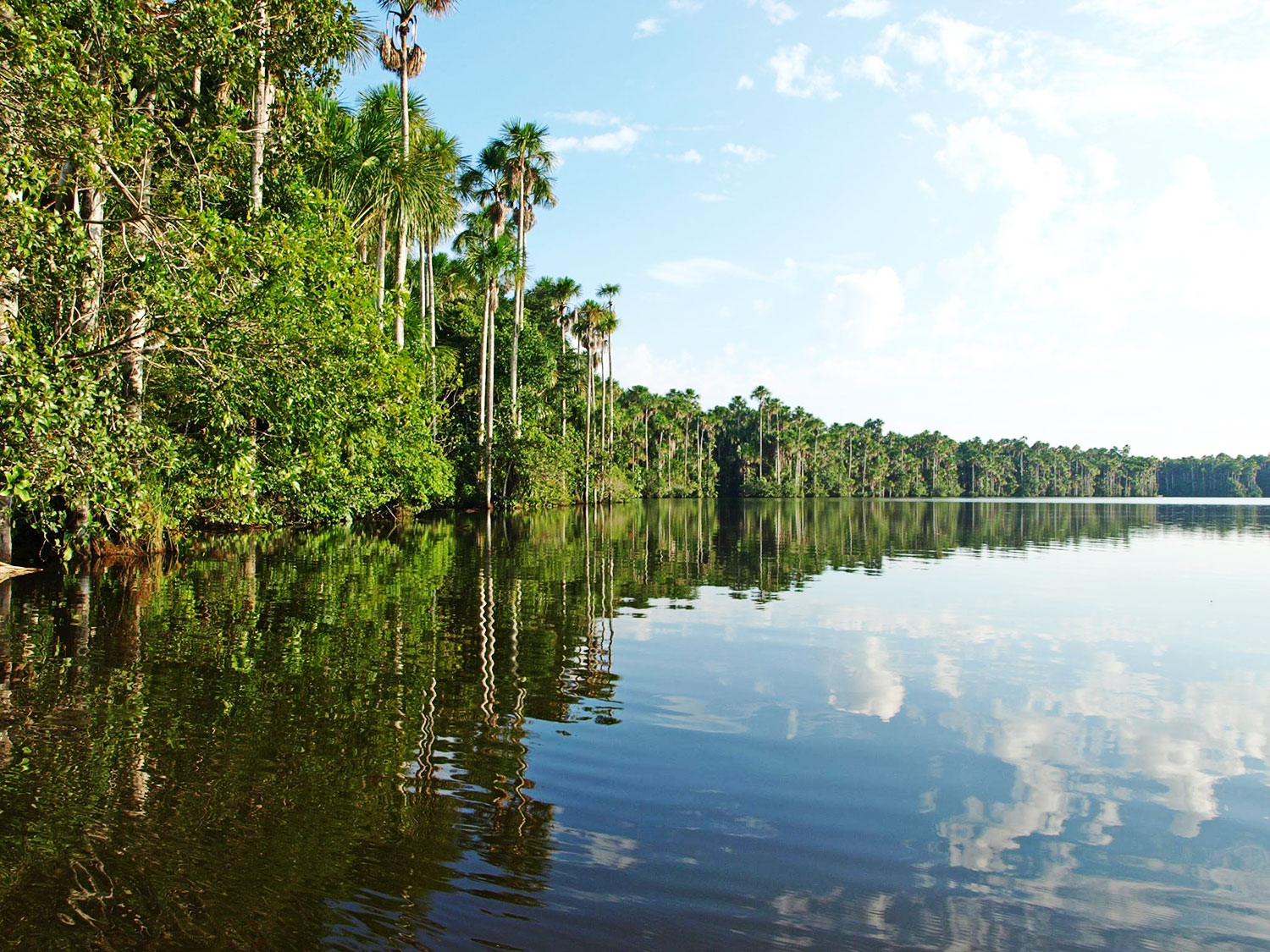 Availability inquiry - Corto Maltes Amazonía Peru - Lodge